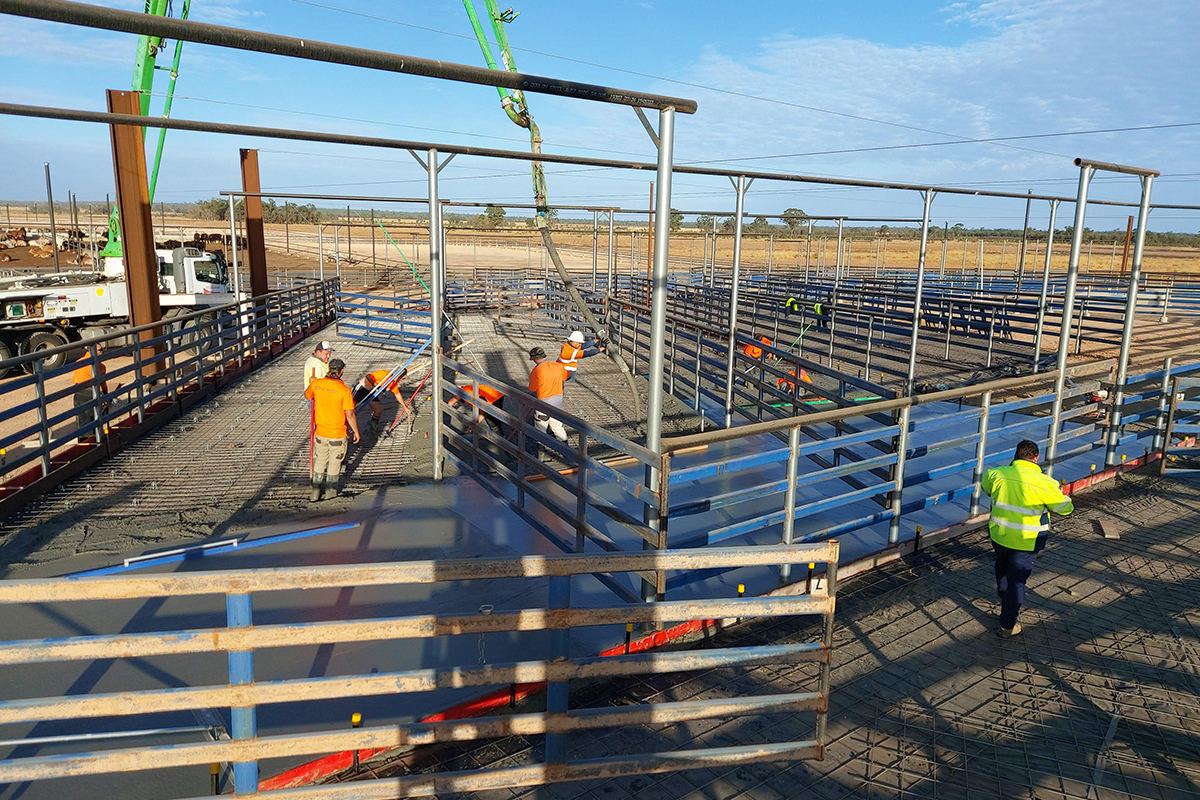 Grassdale Feedlot – All Slab Concreting